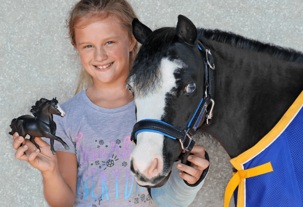 Hero Horse: A Magical True Story at the Marion Theatre