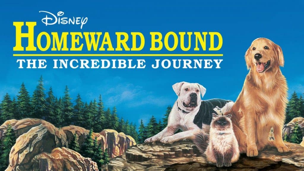 Homeward Bound presented by Sarah and Kathryn